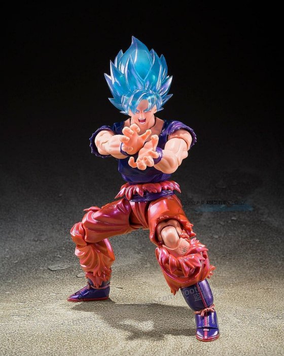 SHF限定版界王拳悟空的價格推薦 - 2025年8月 | 比價比個夠BigGo