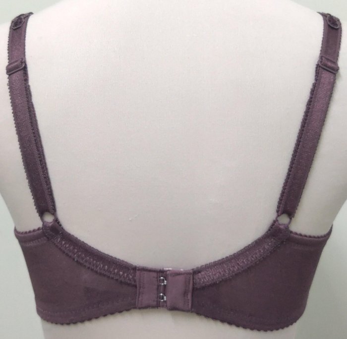 「舊愛」Salute 莎露 尺碼：32/70C 薄襯罩杯 👙二手內衣👙二手胸罩 | Yahoo拍賣