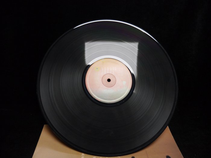 【阿輝の古物】黑膠唱片LP_李建復 夸父追日_有歌詞_多刮痕 髒污_滾石唱片_1元起標無底價_#E20 | Yahoo拍賣