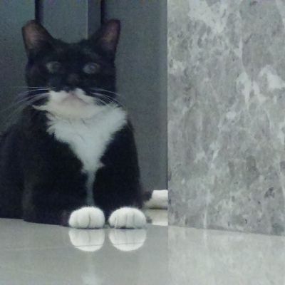 marionette handler 2