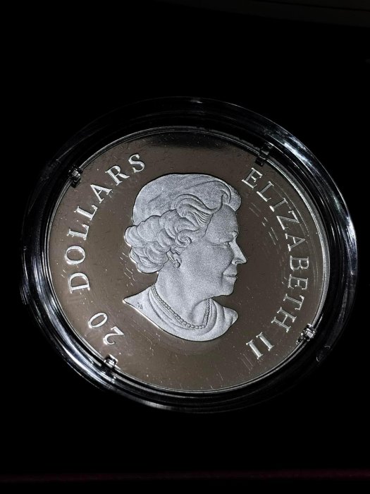 2010 加拿大 RCM $20 Fine Silver Coin: Tanzanite Crystal Snowflake 1 oz 銀幣 1枚 (現貨) | Yahoo拍賣