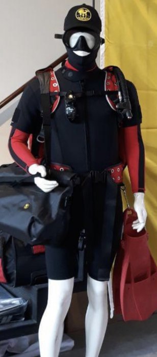 poseidon bcd的價格推薦 - 2025年8月 | 比價比個夠BigGo