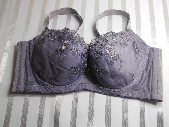 女【蕾黛絲】紫藍灰精美蕾絲繡花迷人內衣85D/38D~100元起標~標多少賣多少~ (9A55) | Yahoo拍賣