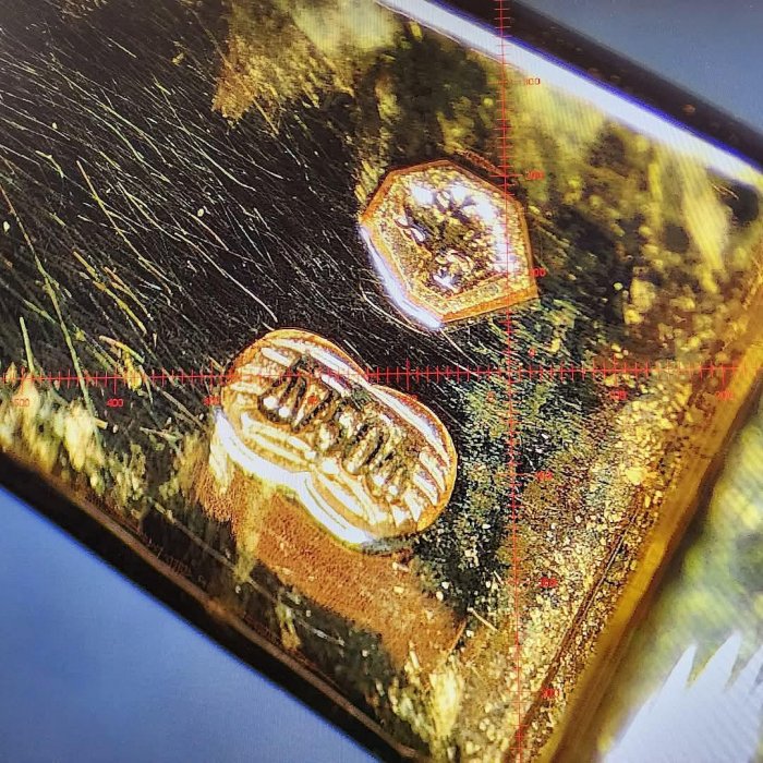 【個人藏錶】 OMEGA 歐米茄 碟飛系列 18k金材質 黑色面盤 小秒針 2202自動上鏈機芯 39mm 台南二手錶 | Yahoo拍賣