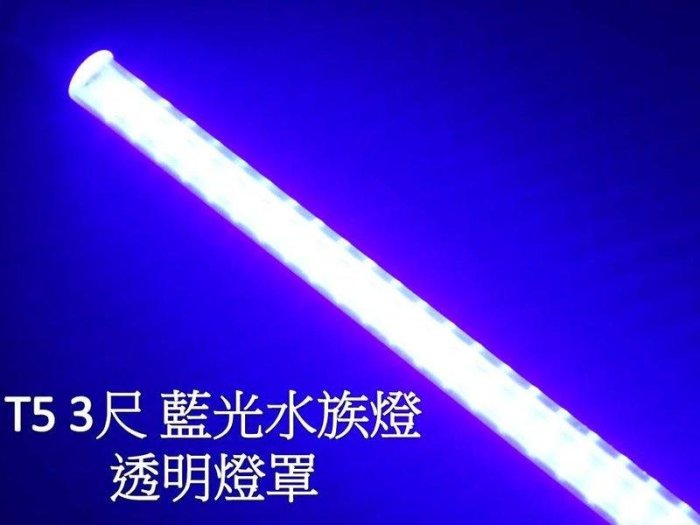 (安光照明)LED水族燈 T5不斷光型 波長:450nm 3呎 藍光 透明 LED燈 LED日光燈 LED植物燈批發 | Yahoo拍賣