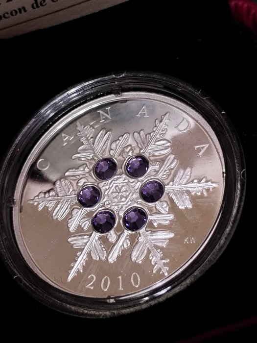2010 加拿大 RCM $20 Fine Silver Coin: Tanzanite Crystal Snowflake 1 oz 銀幣 1枚 (現貨) | Yahoo拍賣