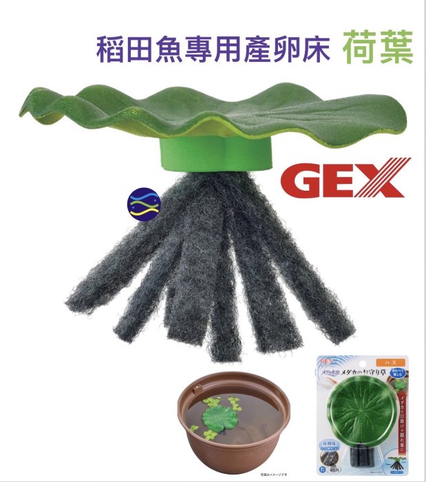 GEX 五味稻田魚的價格推薦 - 2025年8月 | 比價比個夠BigGo