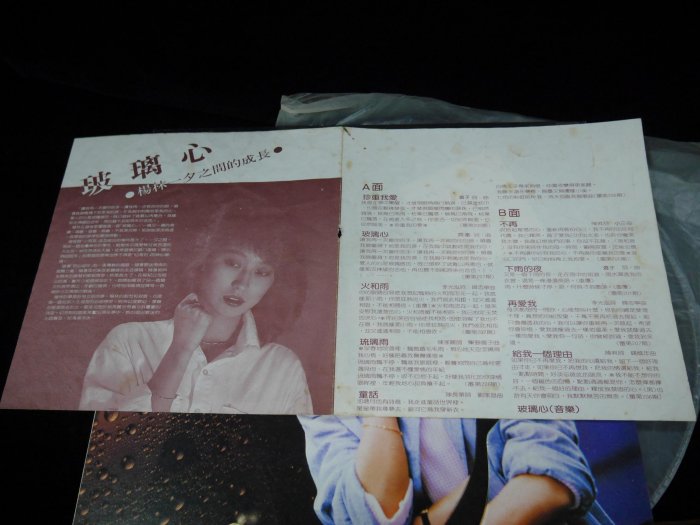 【阿輝の古物】黑膠唱片LP_楊林Diana 玻璃心_有歌詞_有刮痕污漬_#E29_1元起標無底價 | Yahoo拍賣