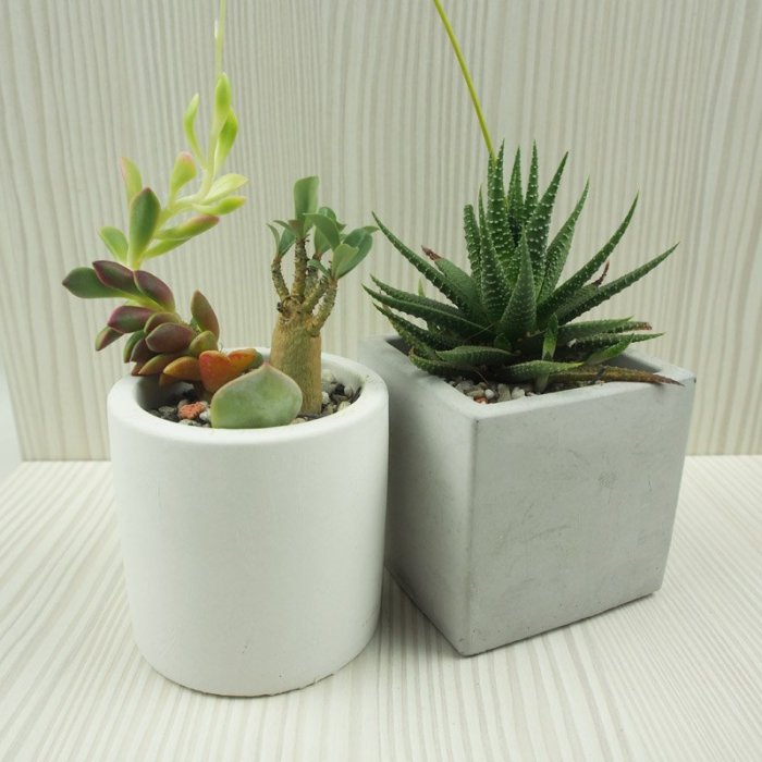 (BEAGLE) 六角型創意水泥花盆(小) 多肉水泥花器/仙人掌水泥花盆/水泥植栽/水泥盆器:8*8CM | Yahoo拍賣