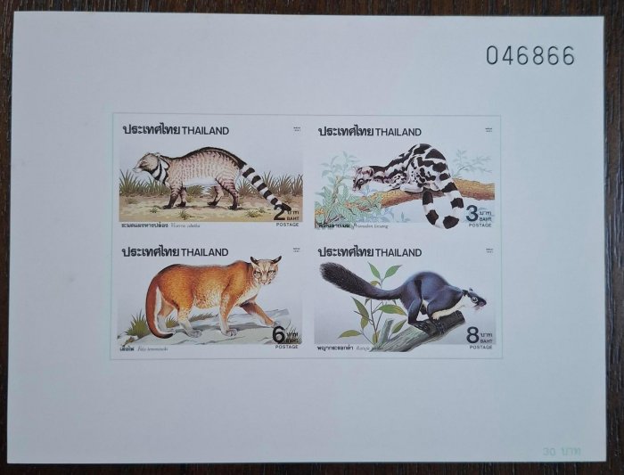 泰國郵票大靈貓Viverra zibetha 五間狸貓科保護野生動物郵票小全張1991年12月26日發行特價 | Yahoo拍賣
