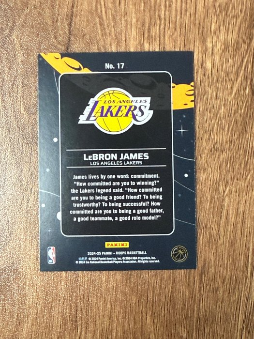 銀亮 HOOPS ANTI GRAVITY Lebron James 2024-25 179 | Yahoo拍賣