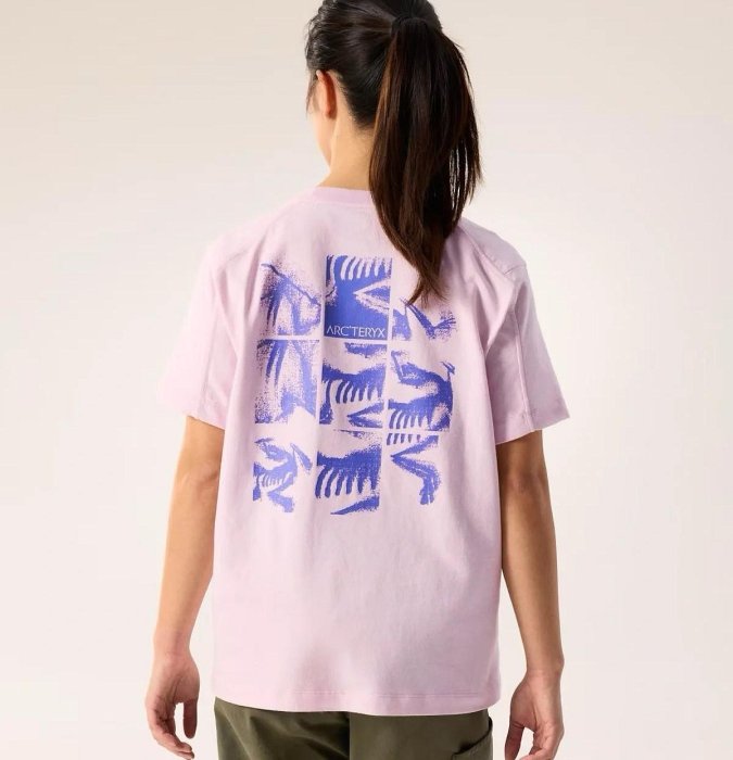 SaNDoN x『Arcteryx』始祖鳥 舒服材質拓印設計印花復古短TEE 250411 | Yahoo拍賣