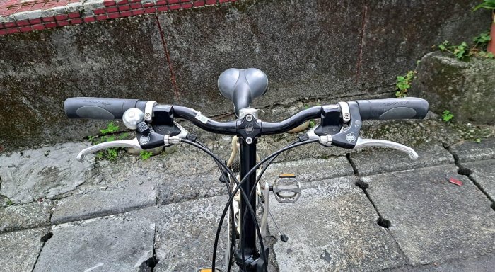 二手~KHS功學社 F20-T2 珠光白 20吋 16段變速 鋁合金折疊腳踏車 小徑 小折 單車~功能正常 | Yahoo拍賣