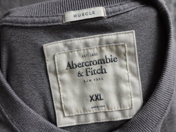 CA 美國麋鹿 Abercrombie & Fitch 灰色 休閒短t XXL號 一元起標無底價E194 | Yahoo拍賣