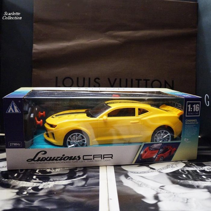 Scarlette【名品館】LUXURIOUS Channel Simulation Model Car 1:16 搖控跑車一元起標 有燈光 ...