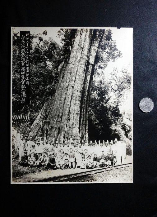 日治時期老照片 昭和8年 台灣私設鐵道業務研究會紀念攝影 於阿里山神木前 20*26公分 郵36 0804 | Yahoo拍賣