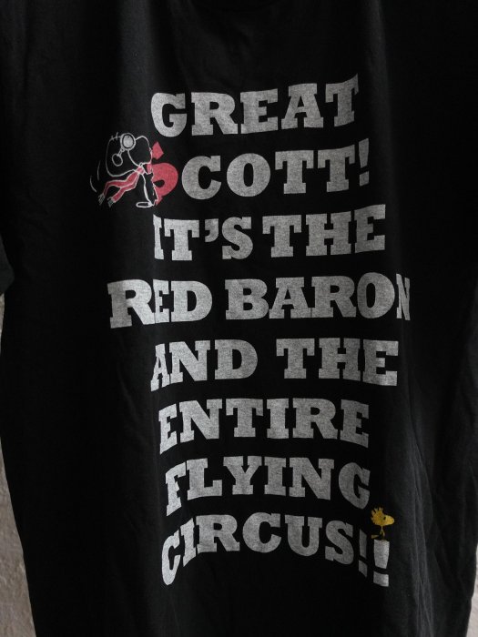 CA 日本品牌 UNIQLO 黑色 純棉 休閒短t L號 一元起標無底價E367 | Yahoo拍賣