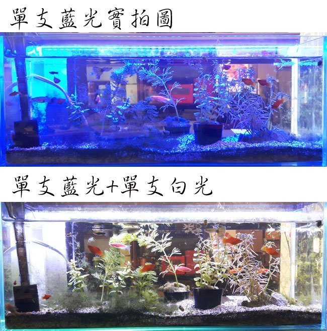 T5 LED 4尺4呎 植物燈 水草燈 波長450nm 可串聯 適合多肉 促進光合作用 | Yahoo拍賣