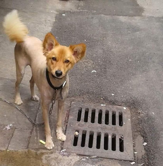 液晶 收音機的價格推薦 - 2025年12月 | 比價比個夠BigGo