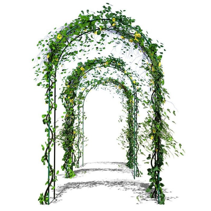 熱賣 鐵藝拱門花架爬藤架鐵線蓮絲瓜支架薔薇月季攀爬架花架~ | Yahoo拍賣