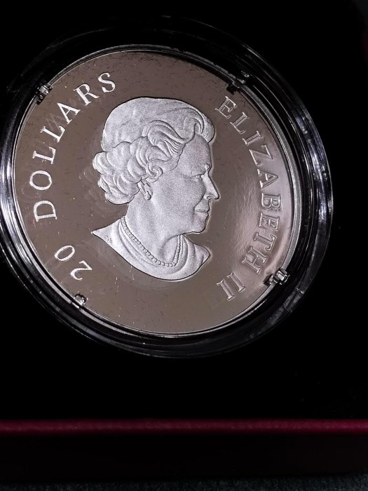 2010 加拿大 RCM $20 Fine Silver Coin: Tanzanite Crystal Snowflake 1 oz 銀幣 1枚 (現貨) | Yahoo拍賣