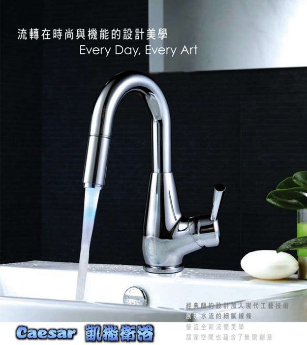 達人水電廣場】 凱撒衛浴 S608C 頂噴 水療淋浴花灑蓮蓬頭組 大花灑 沐浴龍頭 淋浴蓮蓬頭 | Yahoo拍賣