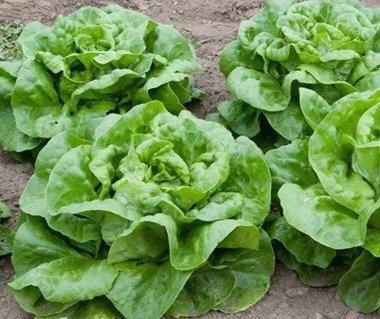 B GOO的價格推薦 - 2025年12月 | 比價比個夠BigGo