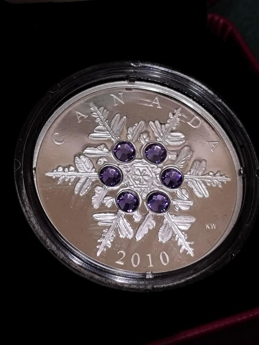 2010 加拿大 RCM $20 Fine Silver Coin: Tanzanite Crystal Snowflake 1 oz 銀幣 1枚 (現貨) | Yahoo拍賣