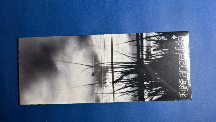 欣叡二手CD 膠盒裝 附簡譜 利綺 天使魚 /angel fish 2CD | Yahoo拍賣