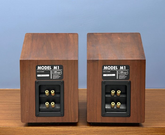 $ 一元起標 $ 美國 PSE M1 喇叭 | Yahoo拍賣