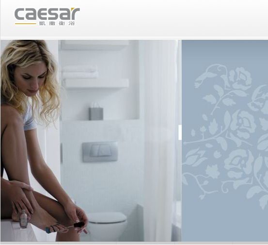 ☆水電材料王☆CAESAR 凱撒大流量軟管(BF437S) 蓮蓬頭軟管 | Yahoo拍賣