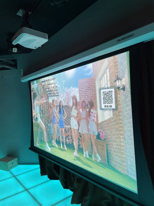 @米傑企業@原廠公司貨REDLEAF T9V-120W電動線拉張力120吋布幕3D頂級張緊幕16:9電動線拉120吋布幕 | Yahoo拍賣
