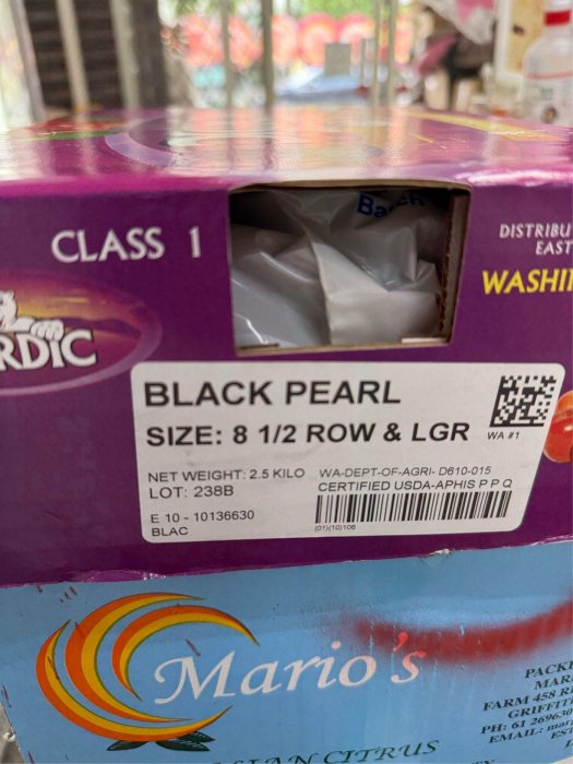 長慶水果~季節限定商品【華盛頓州空運 新鮮櫻桃8.5R】2.5KG/優惠$1950 | Yahoo拍賣