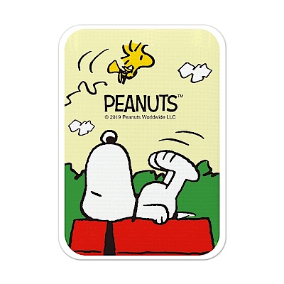 SNOOPY 小格紋 13000mAh Type-C雙向快充行動電源 | 支援筆電/Switch | Yahoo購物中心