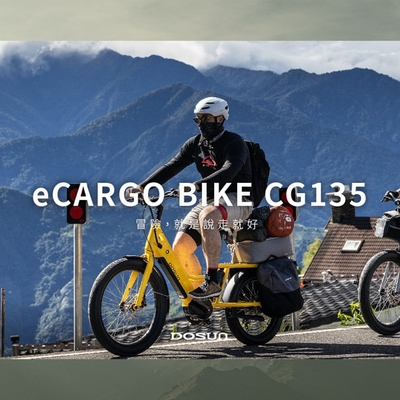 【DOSUN】電動輔助自行車DOSUN eCARGO BIKE CG135太陽黃送安裝(車麗屋) | 電動自行車 | Yahoo購物中心