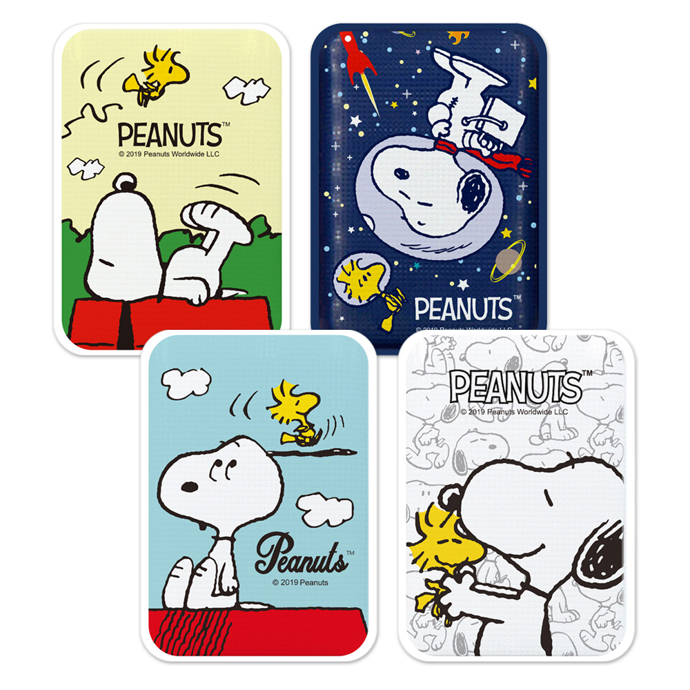 SNOOPY 小格紋 13000mAh Type-C雙向快充行動電源 | 支援筆電/Switch | Yahoo購物中心